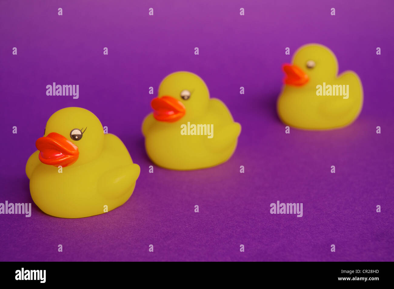 Yellow ducks in a row Stock Photo - Alamy