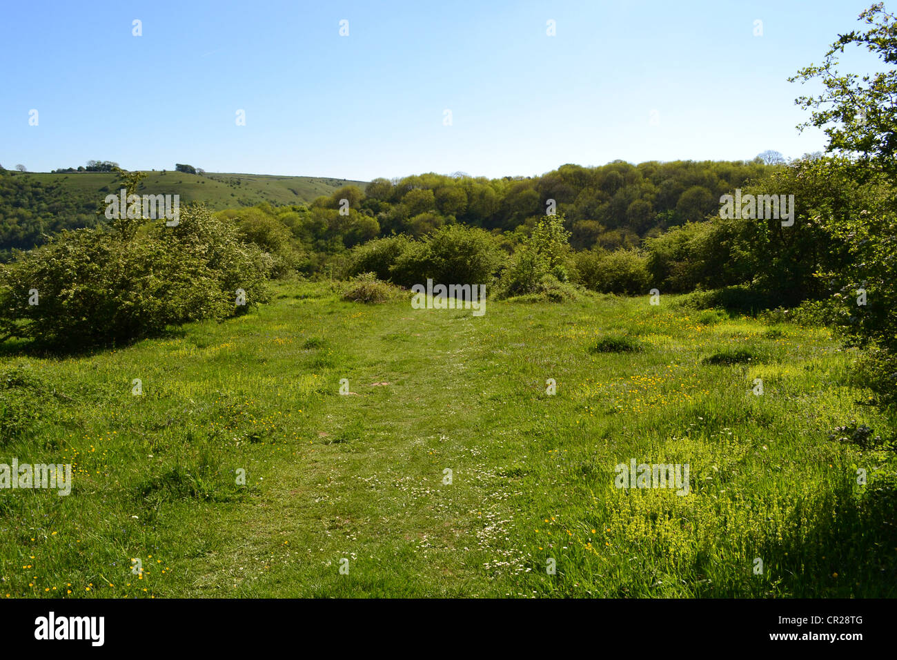 Digital country hi-res stock photography and images - Alamy