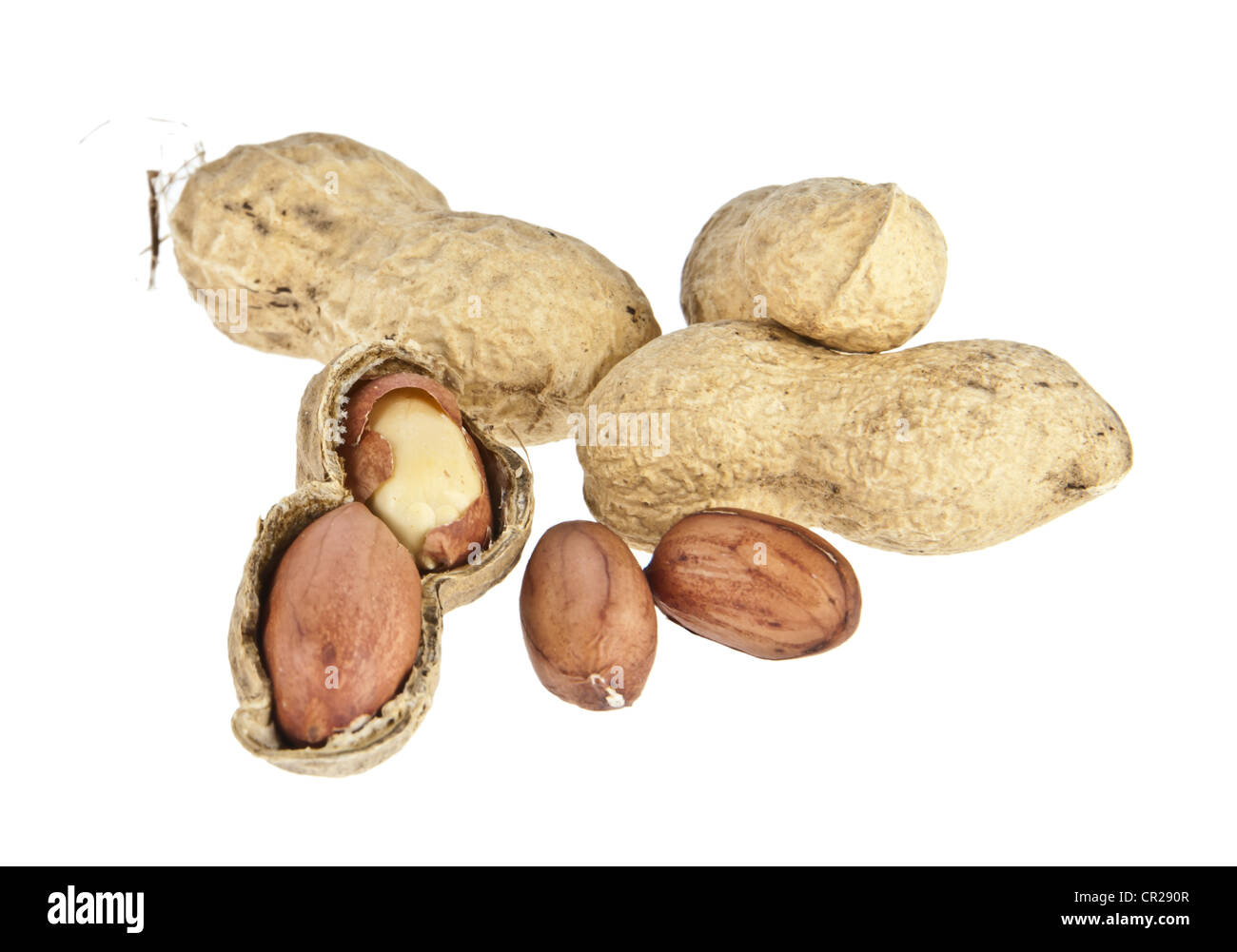 Group of peanuts isolated on white background Stock Photo - Alamy