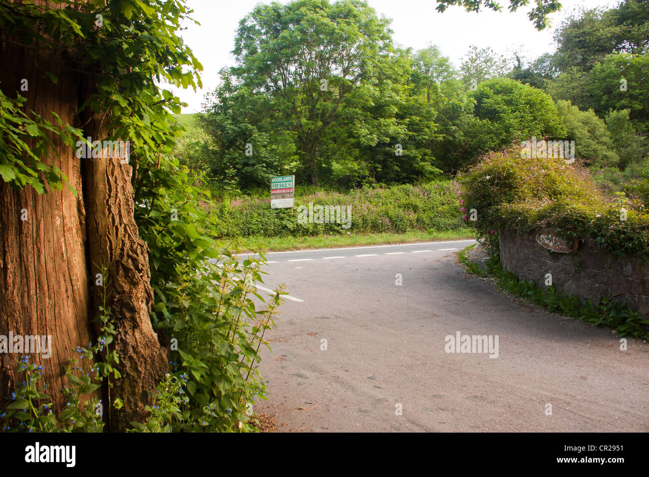 Devon road sign hi-res stock photography and images - Alamy