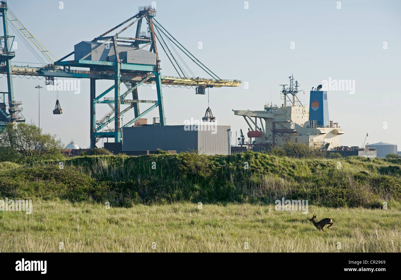 Steel works teesside hi-res stock photography and images - Alamy