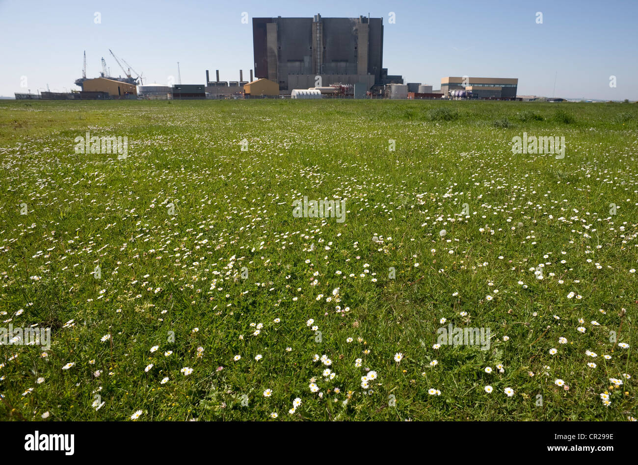 Teesside power station hi-res stock photography and images - Alamy
