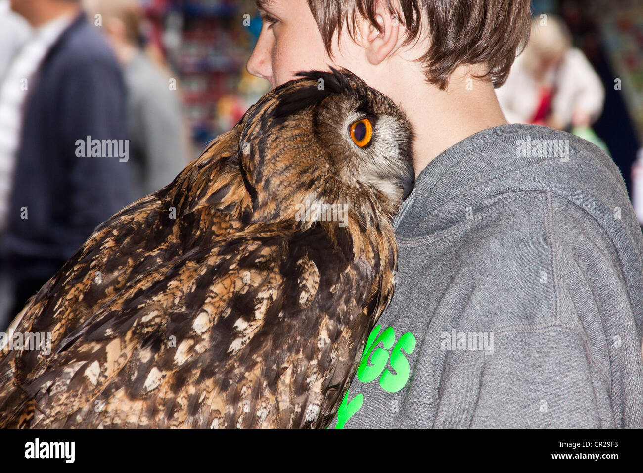 Man helping wildlife hi-res stock photography and images - Alamy