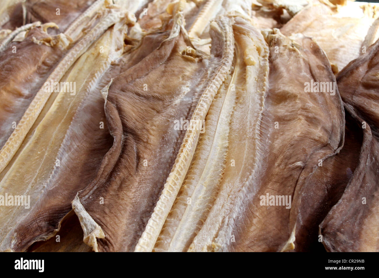 A close up of Madeiran cod fish from the fish market in Funchal ...