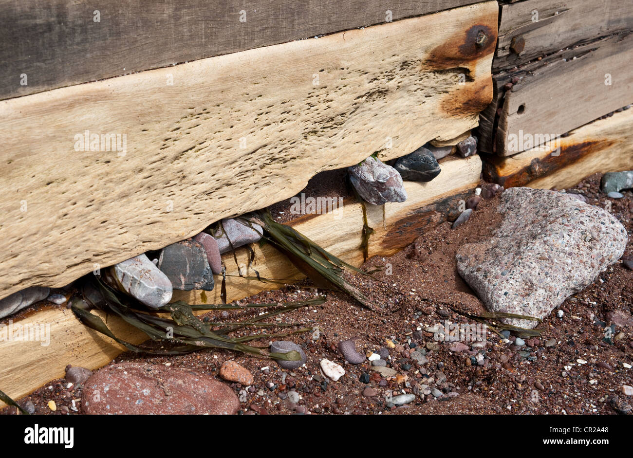 Shingle sand beaches hi-res stock photography and images - Alamy