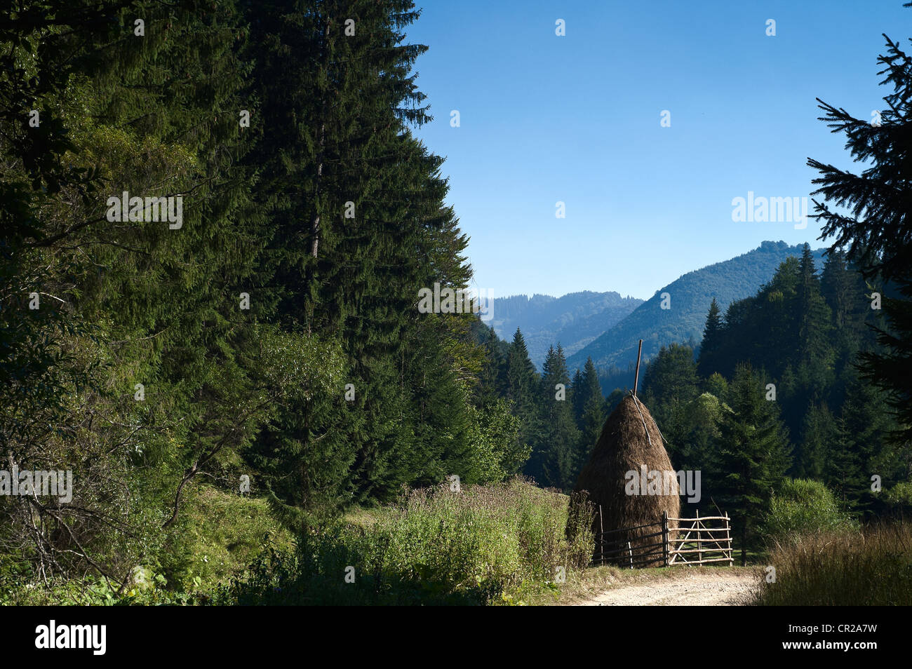 Rural scene romania hi-res stock photography and images - Alamy