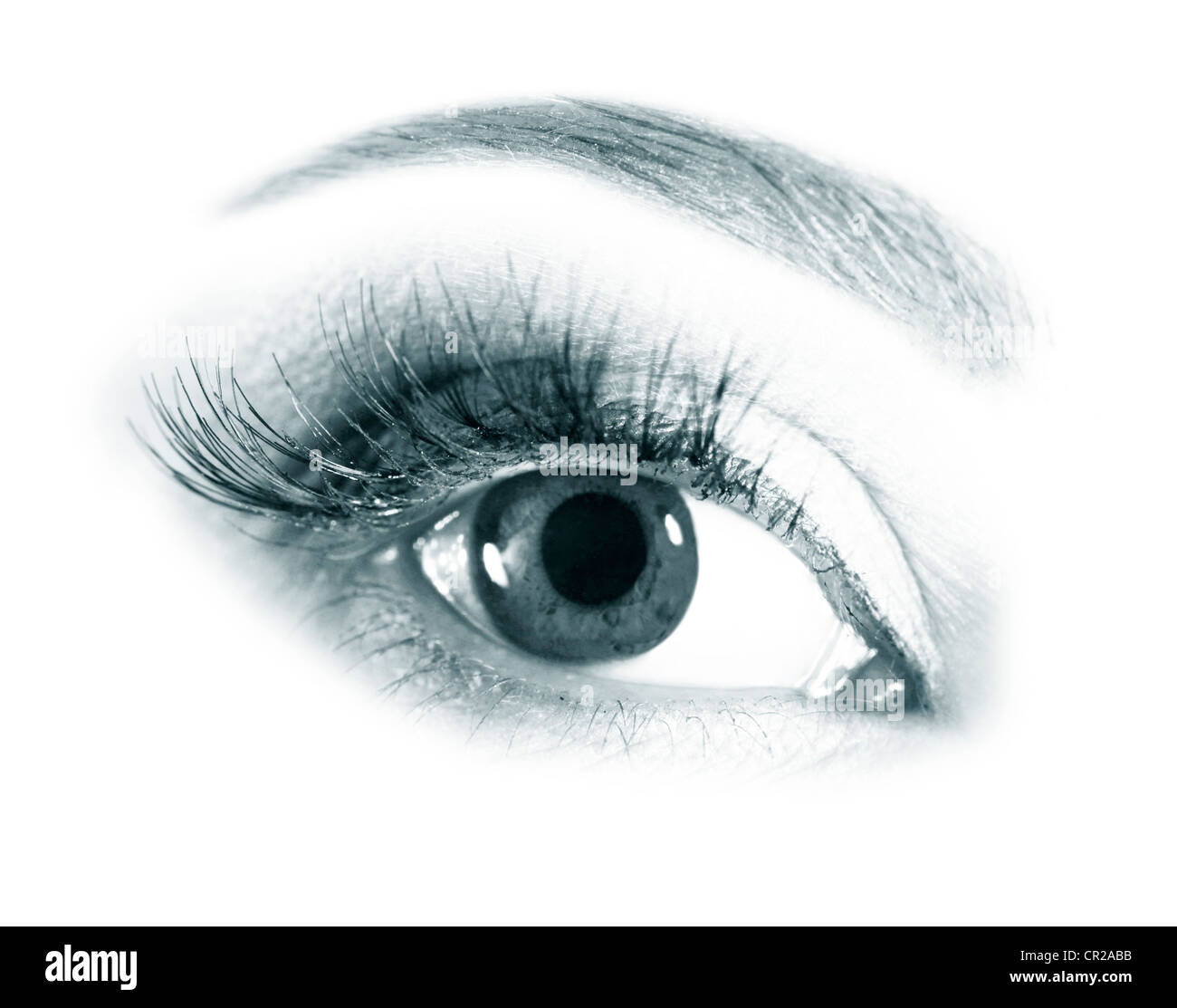 Open eye close-up Stock Photo - Alamy