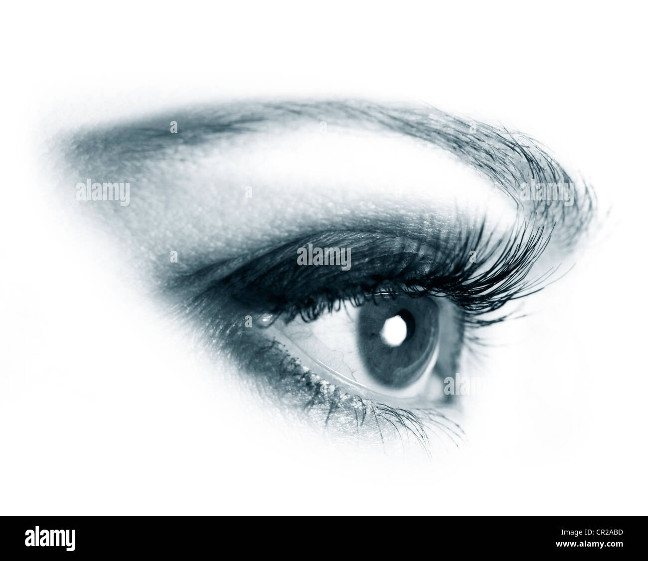 Open eye close-up Stock Photo - Alamy