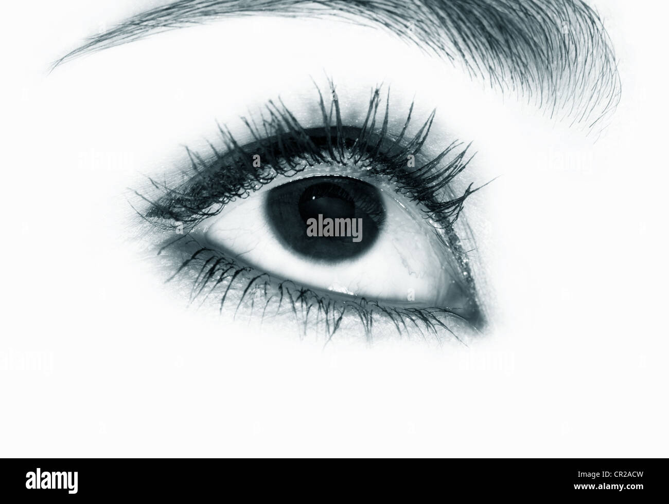 Open eye close-up Stock Photo - Alamy