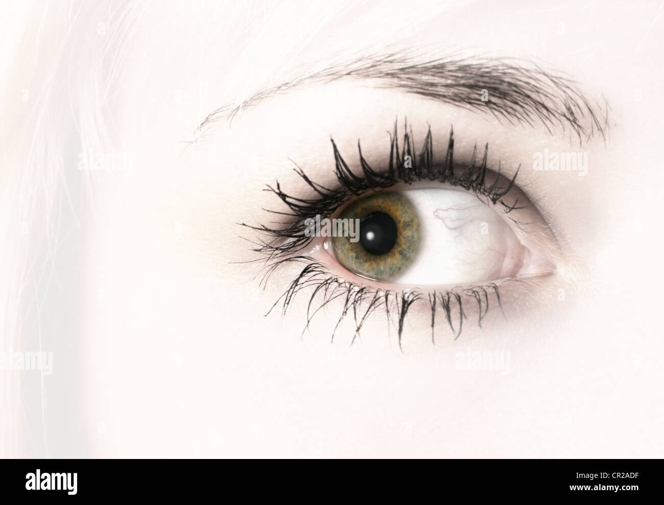 Open eye close-up Stock Photo - Alamy
