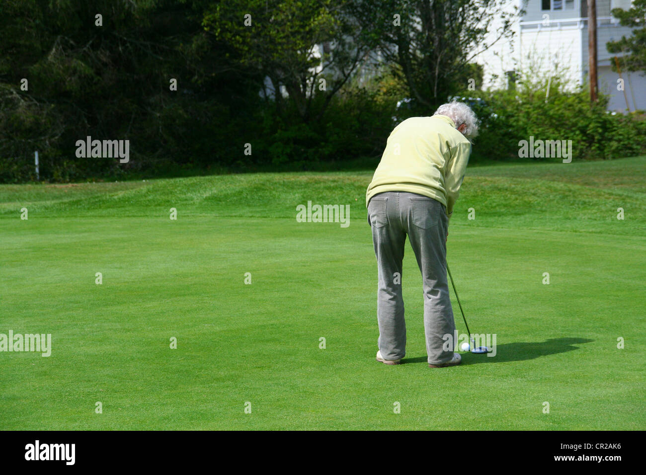 Woman golfer on putting green, Agate Beach Golf Course, Newport, Oregon ...
