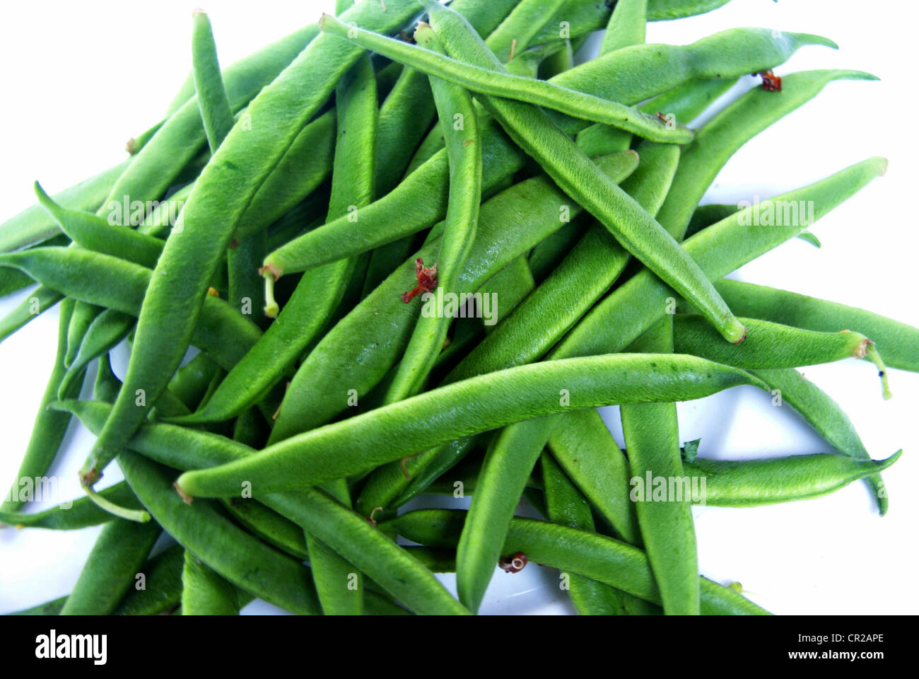 Harvest -green beans, isolated - from home garden, Pacific Northwest ...