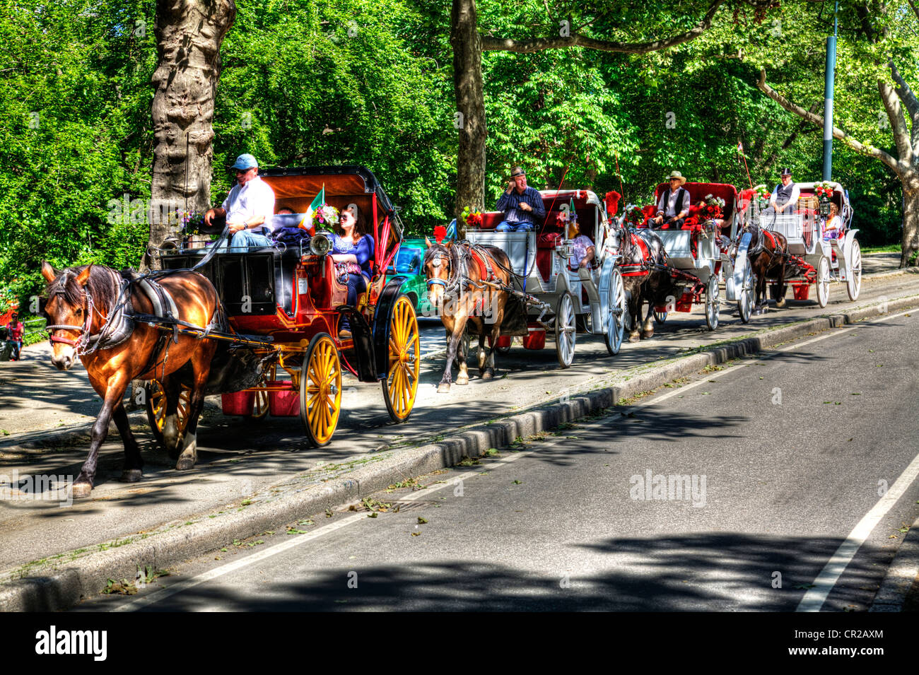 Central Park, New York City, Manhattan, NYC, carriage rides by horse ...