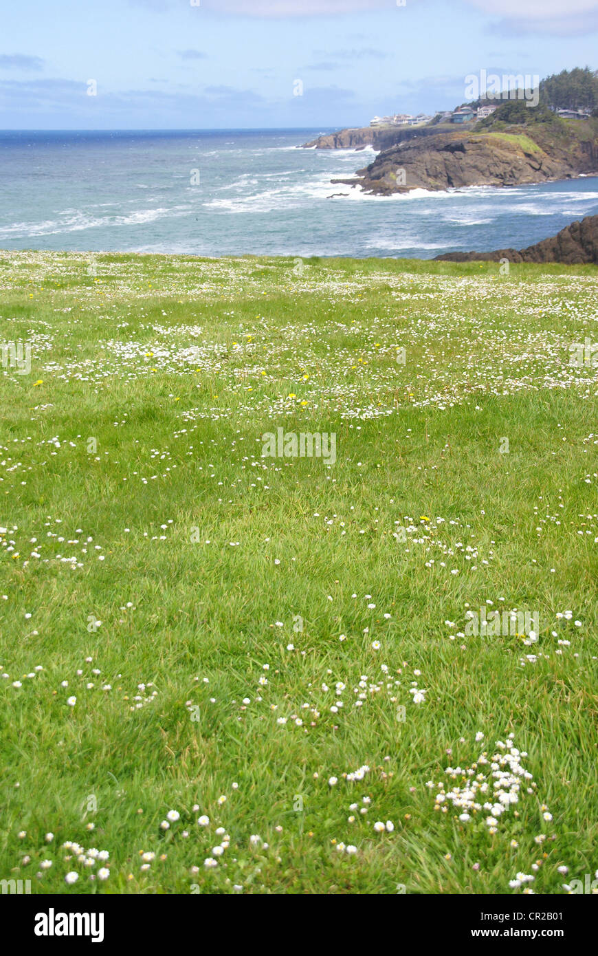 Rolling green meadows and Pacific Ocean, near Otter Rocks, Oregon Coast ...