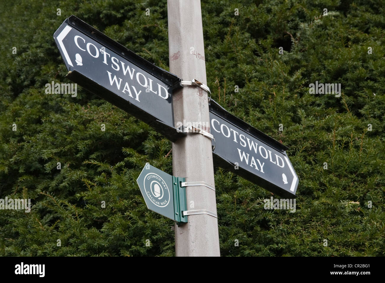 Walking The Cotswold Way Sign High Resolution Stock Photography and ...