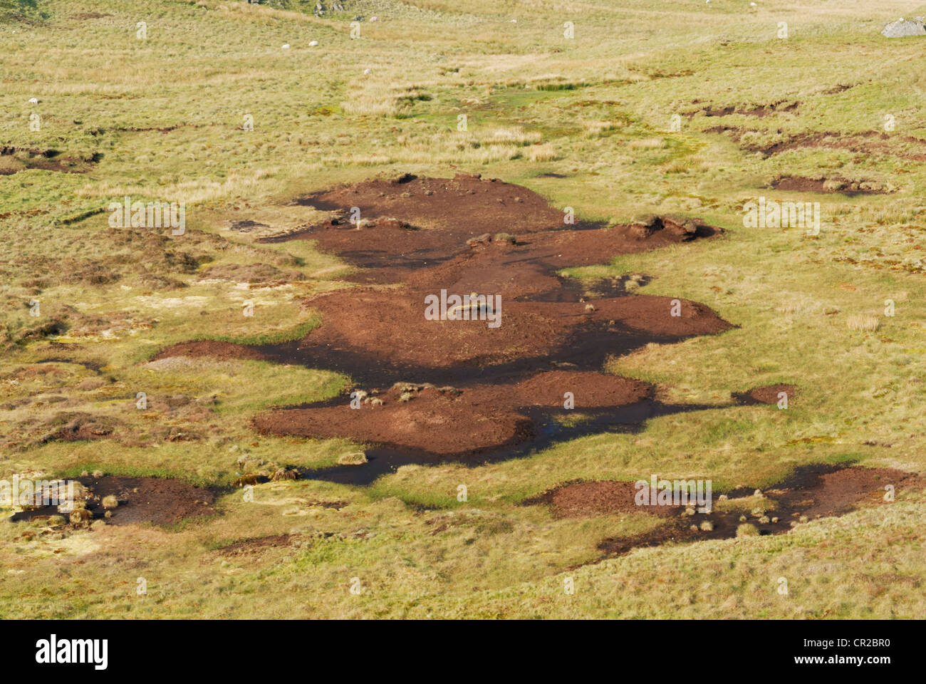 Small upland peat bog on Migneint, a Welsh upland habitat area in North ...