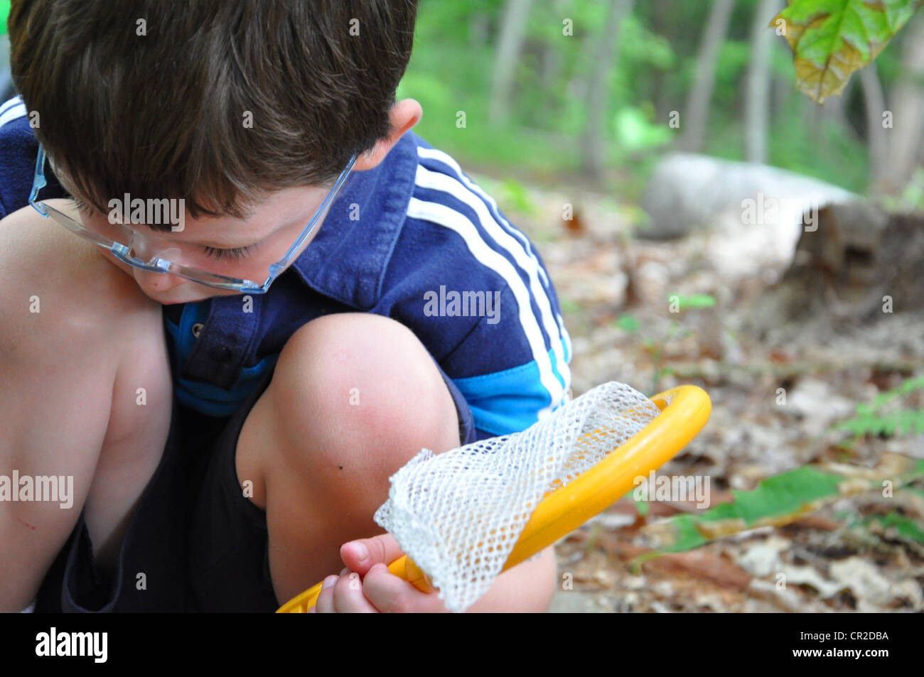 A little boy looking for bugs in the woods Stock Photo - Alamy