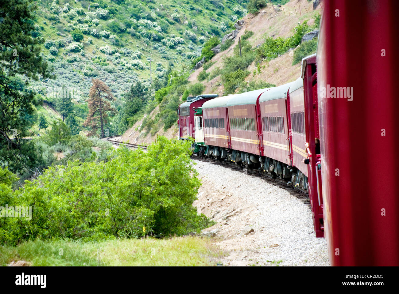 Passenger trains follows train tracks through the mountains and forest ...