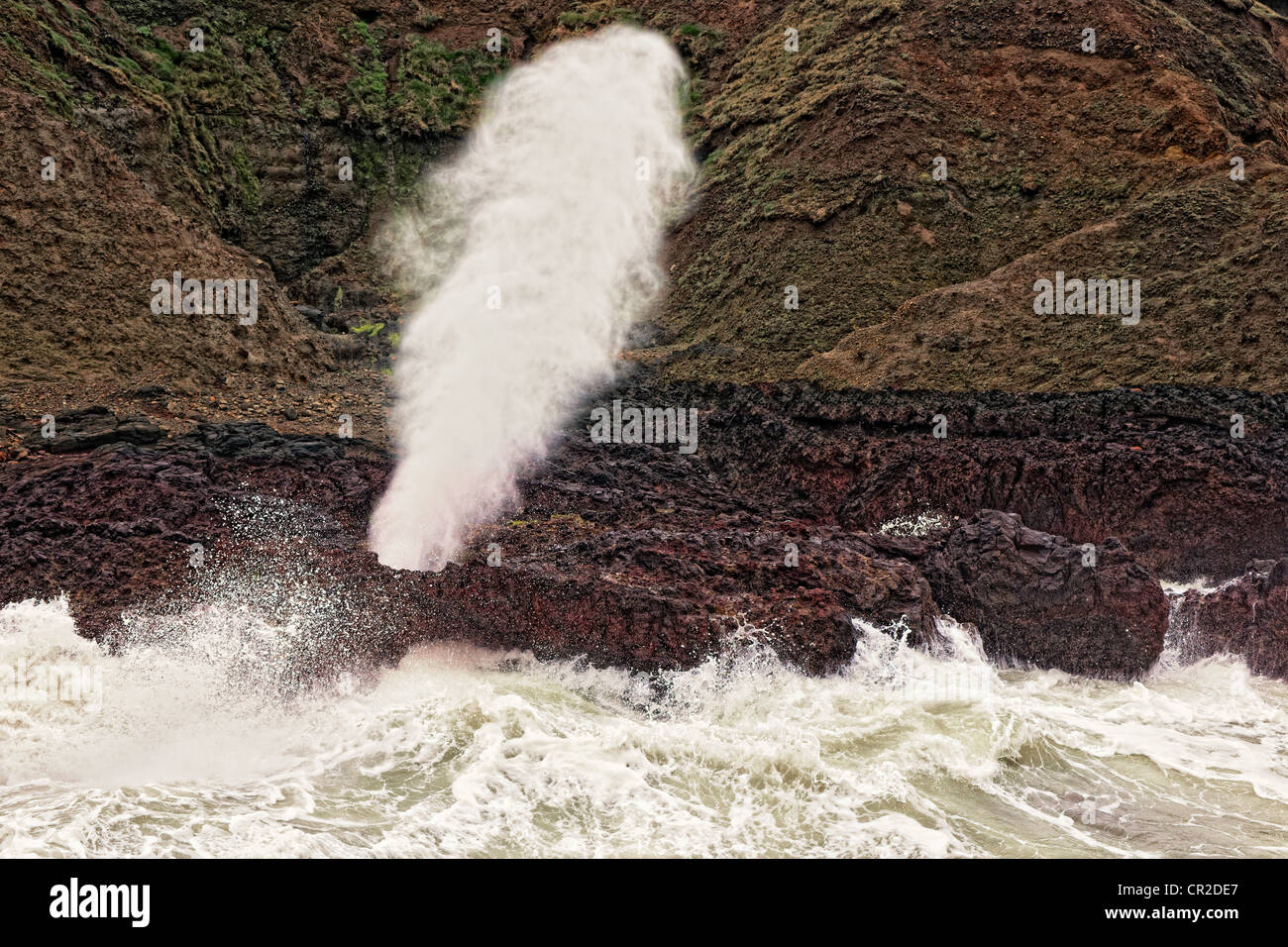 The Pacific Ocean explodes out of the basalt blowhole named Spouting ...
