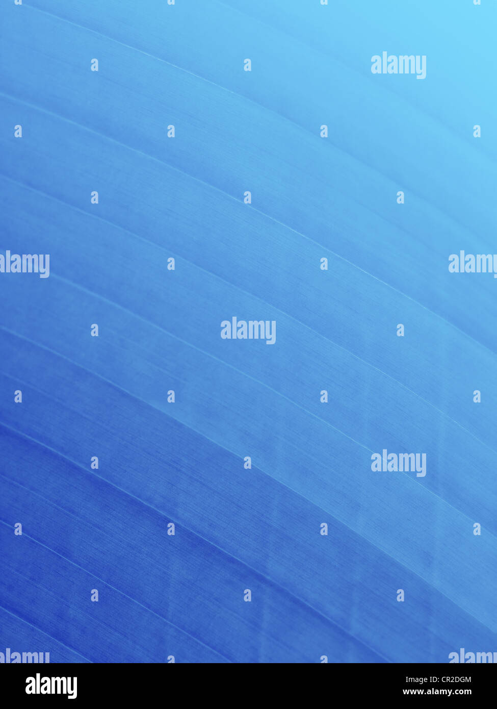 Graduated blue backdrop hi-res stock photography and images - Alamy