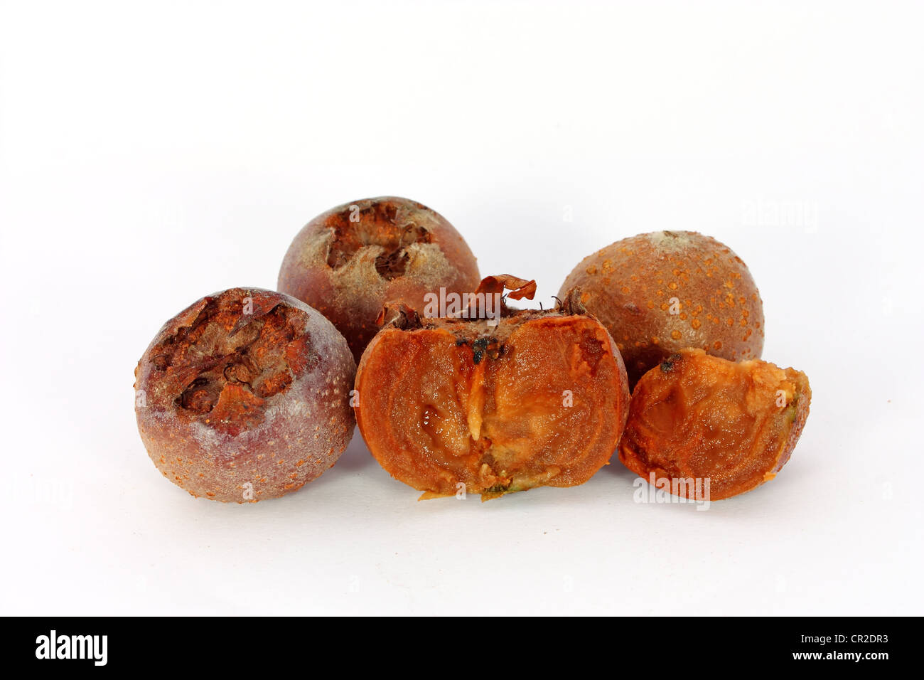 Ripe medlar fruit ready for eating isolated on white Stock Photo - Alamy