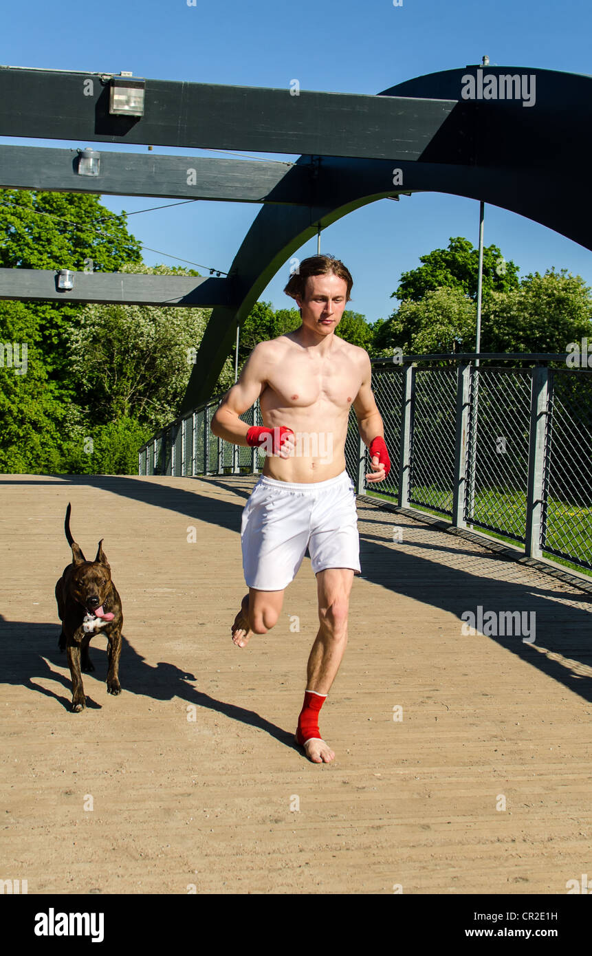 Training before the fight. Boxer and dog running outdoors Stock Photo ...