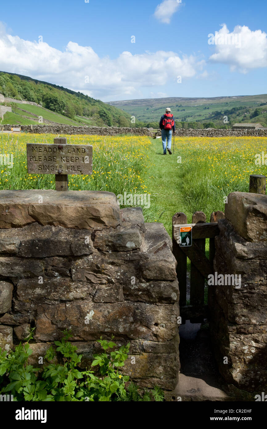 Wooden signs, dry stone walls, Walkers & Ramblers in pasture farmland ...