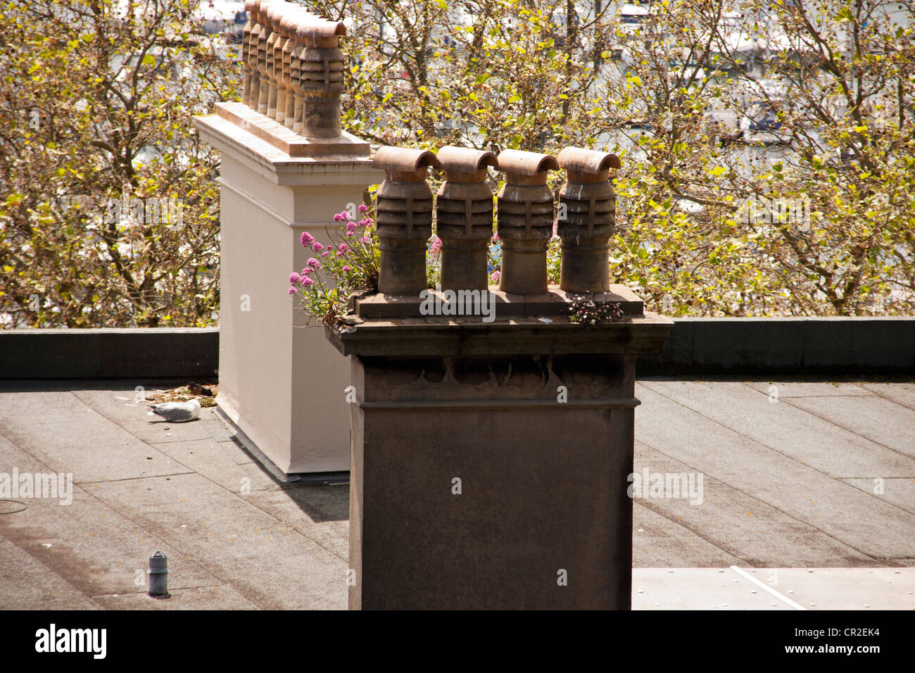 Tall Victorian chimney stacks on the roof of the Torquay Hotel, Torquay ...