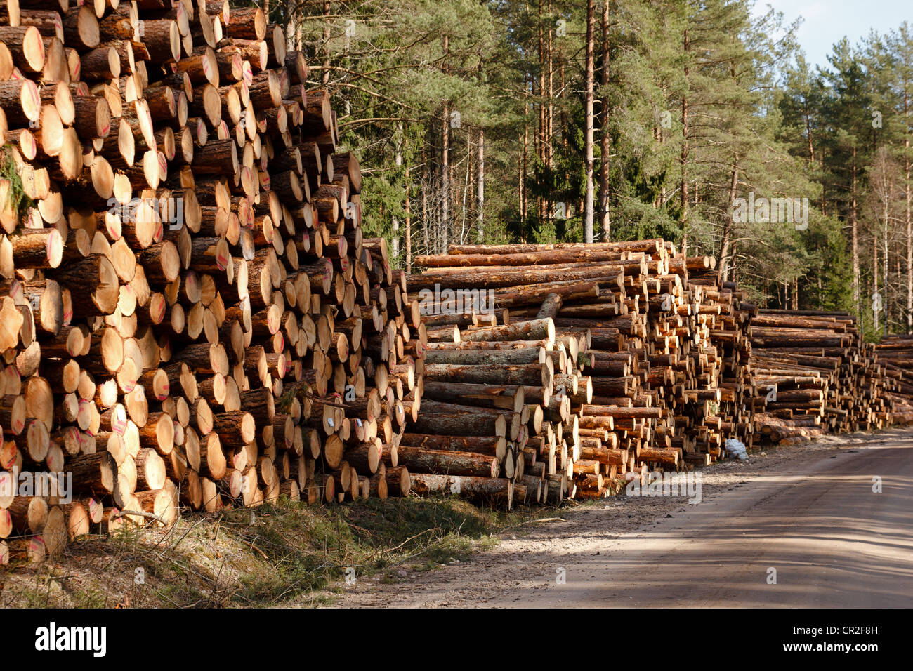 freshly cut logs stack at rural roadside Stock Photo - Alamy