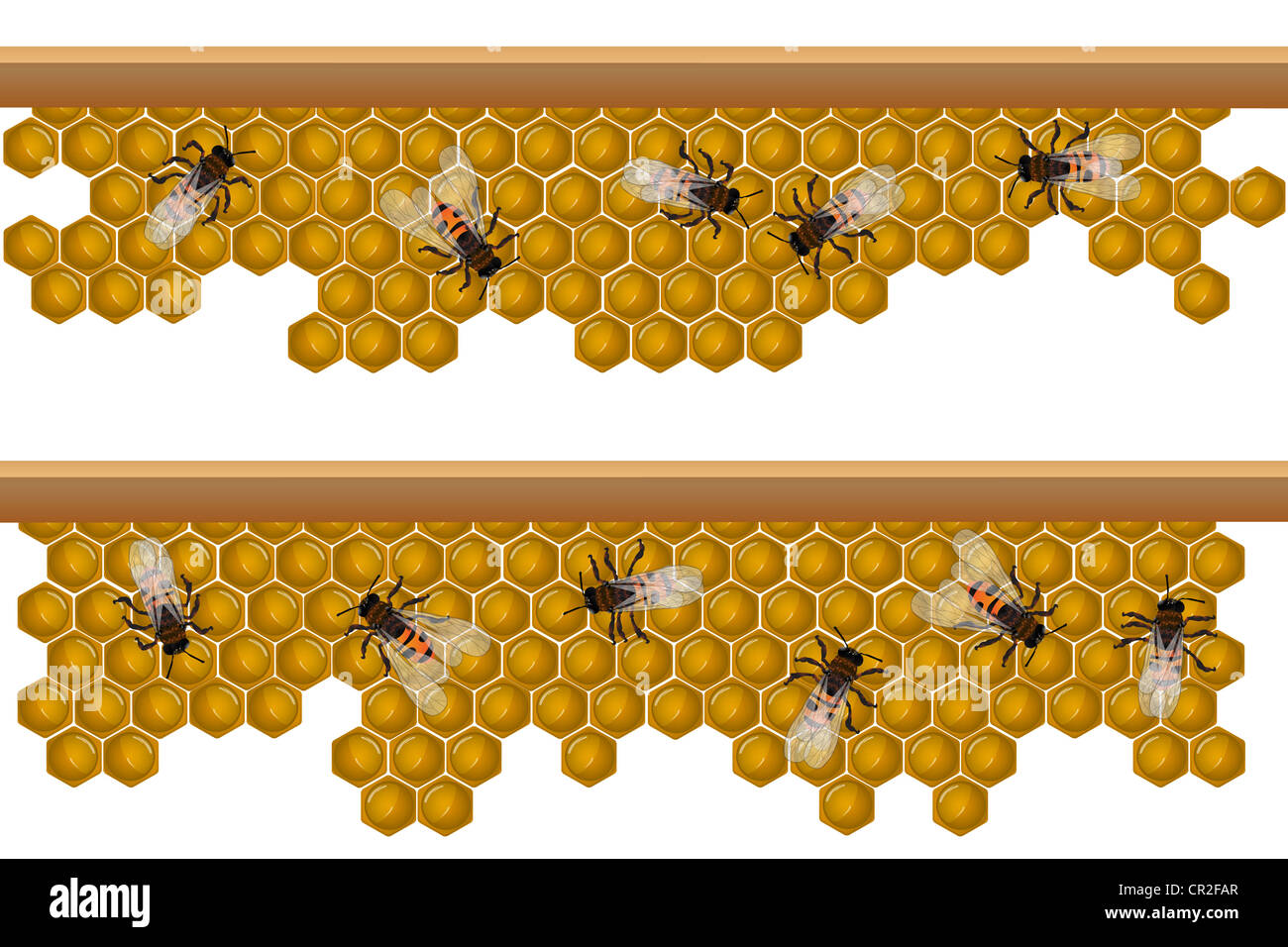 Honeycomb border hi-res stock photography and images - Alamy