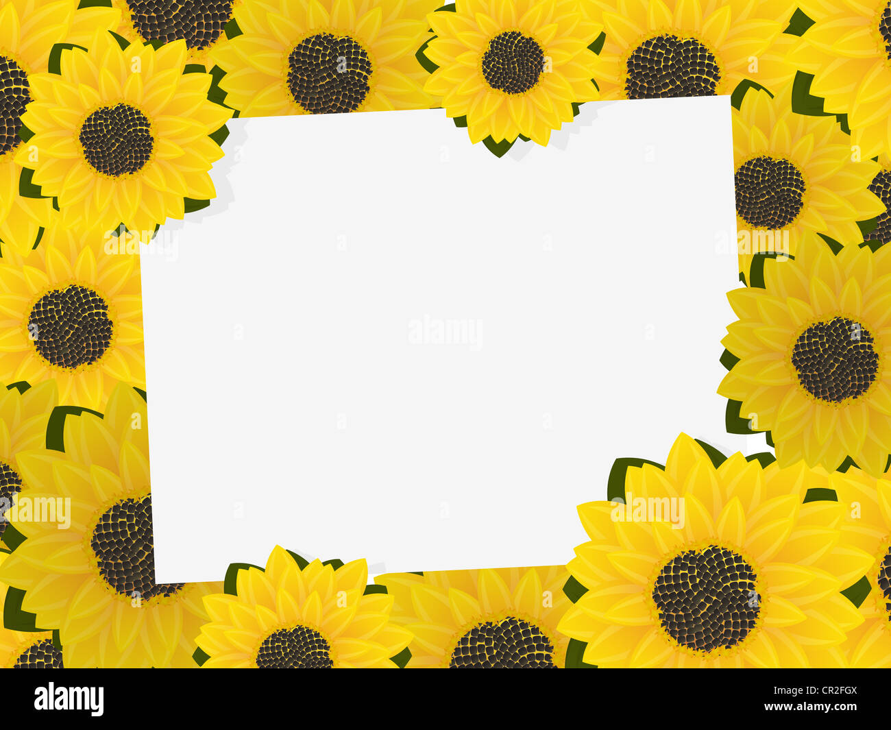 Text/ photography card with sunflower frame, graphic art Stock Photo ...
