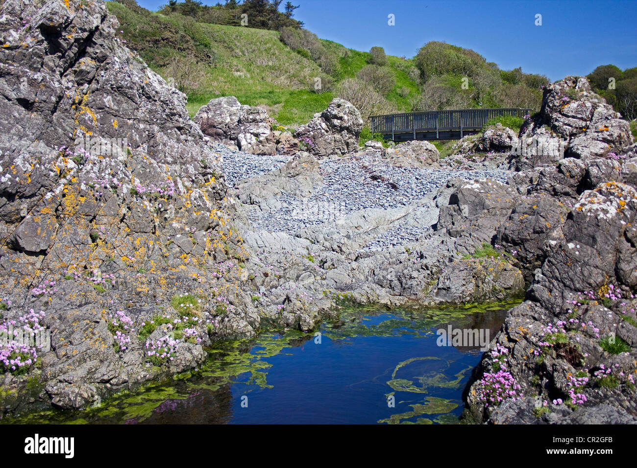 Shingle beach hi-res stock photography and images - Alamy