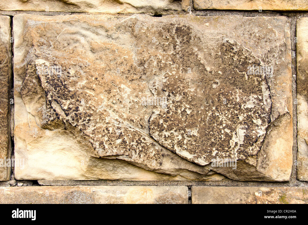 background of ancient marble block wall closeup Stock Photo - Alamy