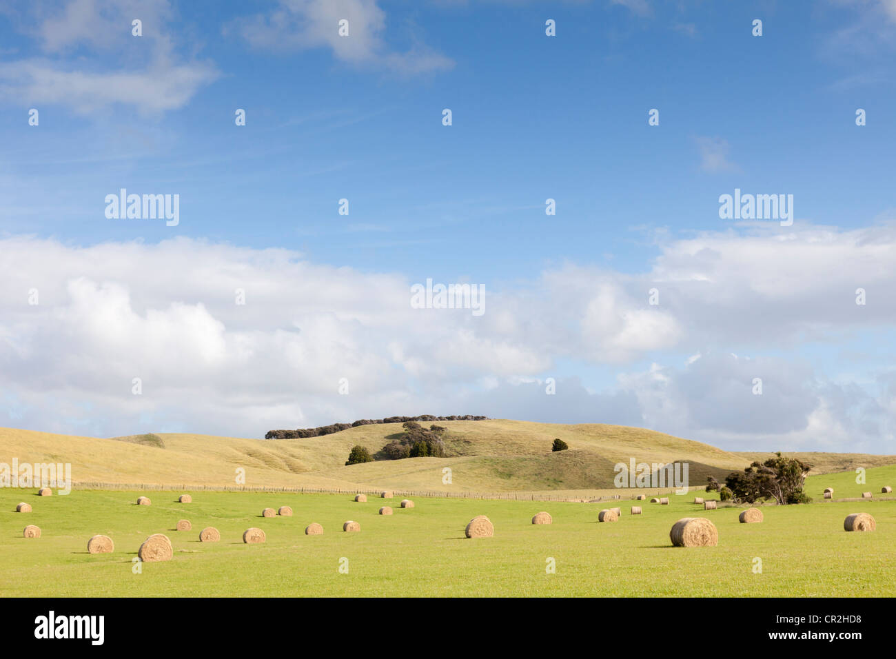 A pastoral scene with fluffy clouds and grass fields spotted with round ...