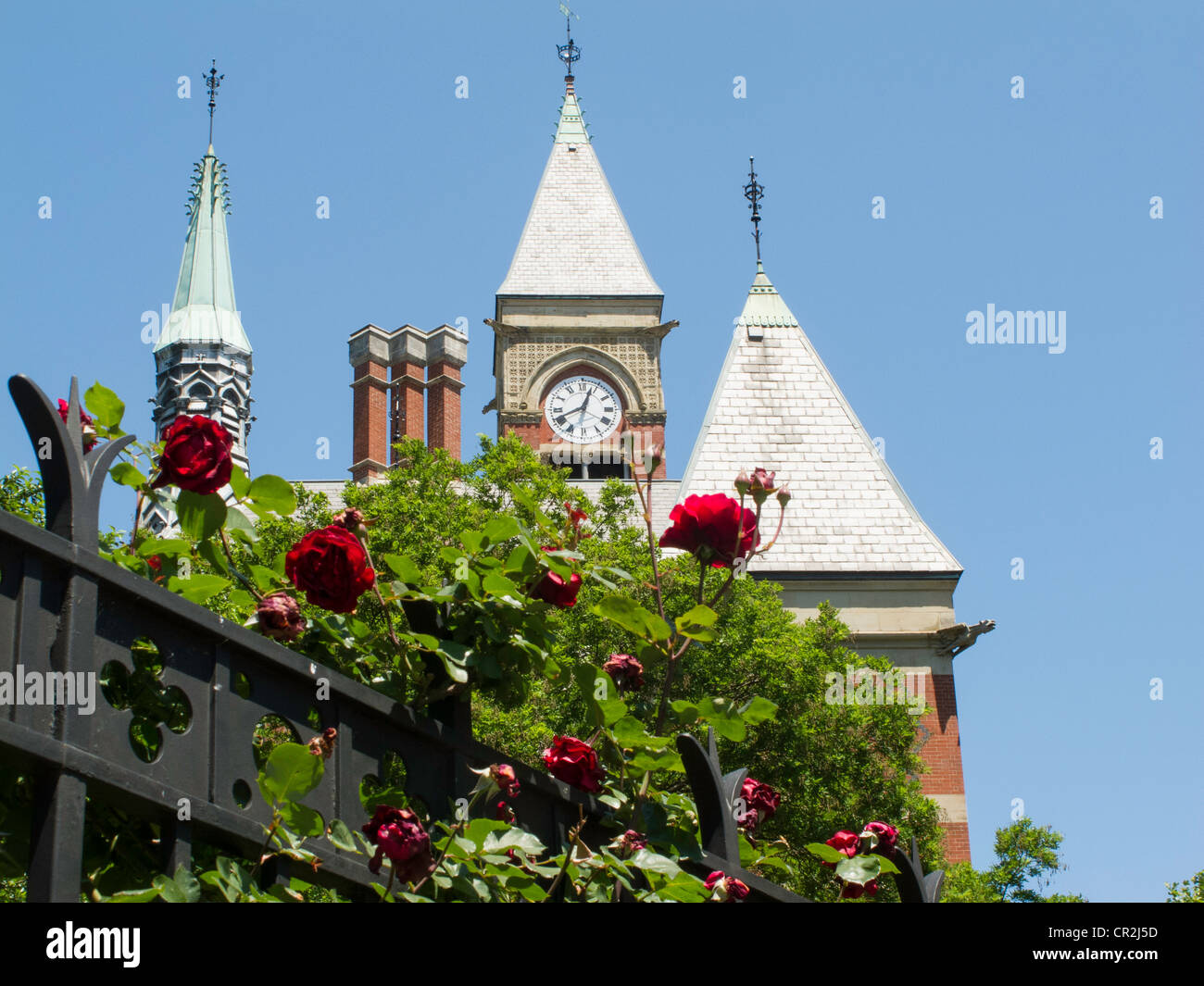 Jefferson Market Branch, New York Public Library, NYC Stock Photo - Alamy