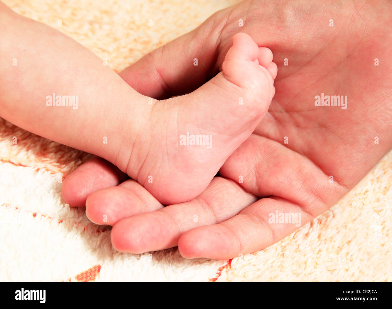 Parent hand hold baby girl legs Stock Photo - Alamy