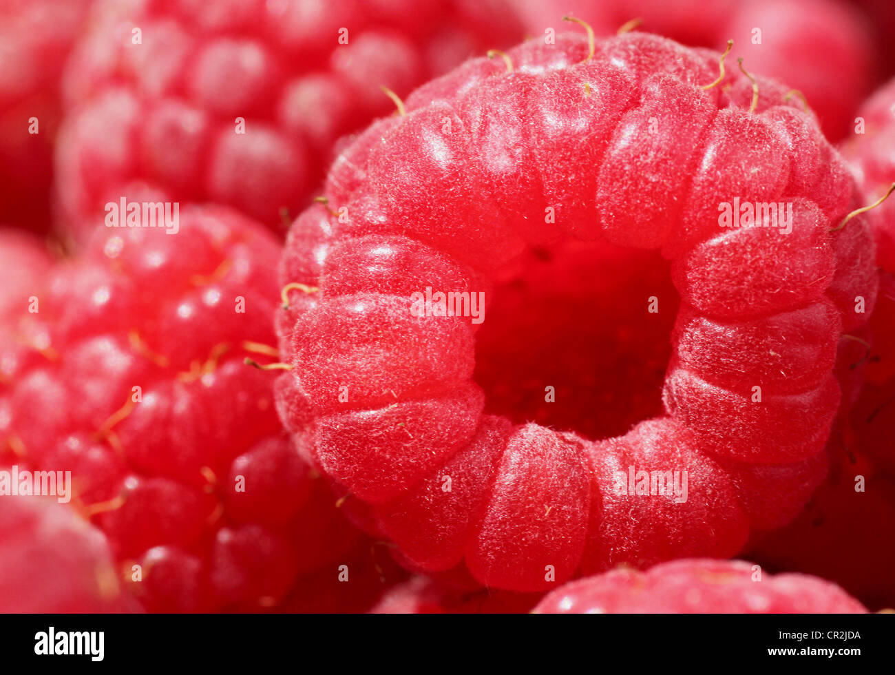 Raspberry not a berry hi-res stock photography and images - Alamy