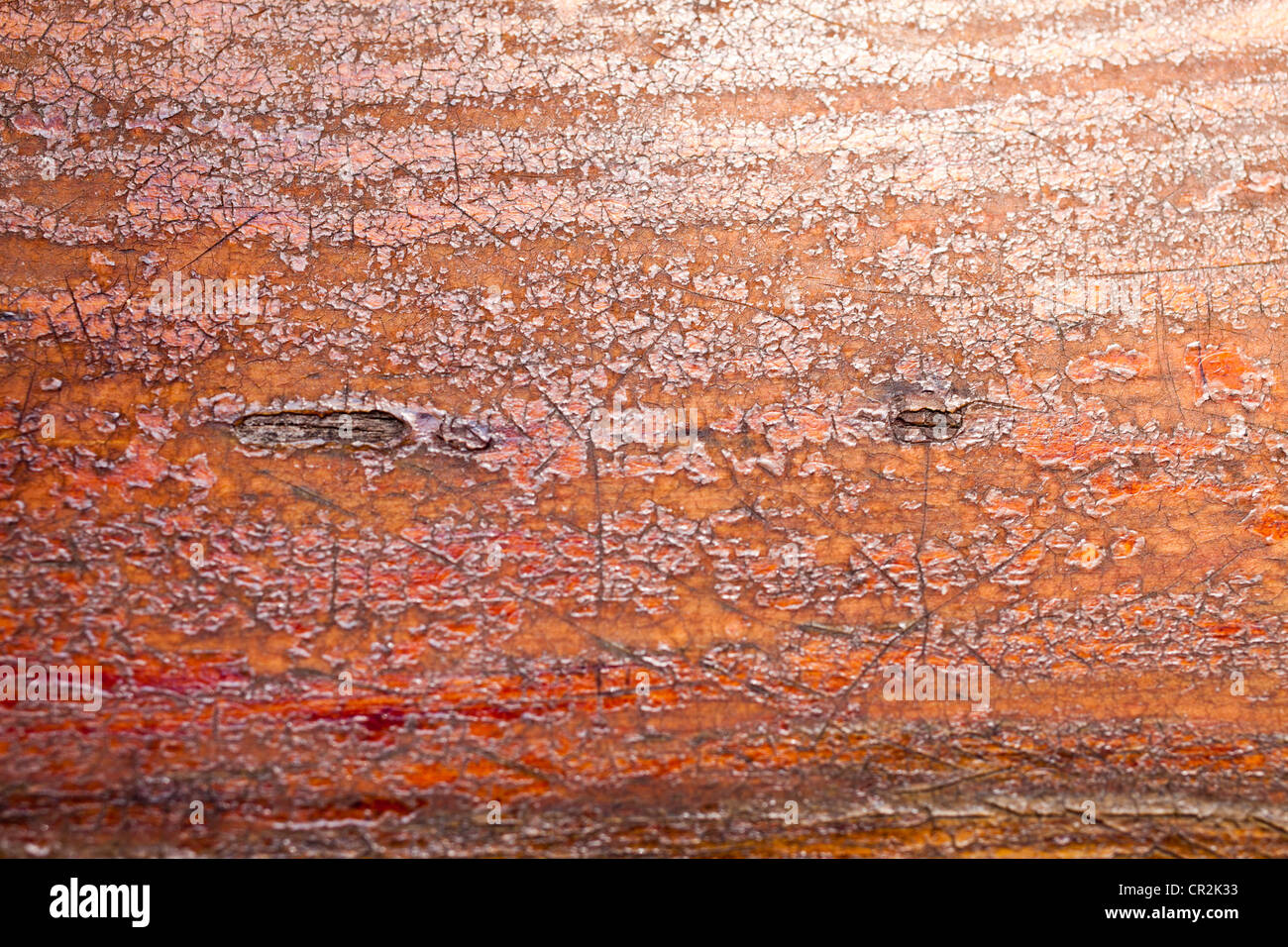 old scratched board Stock Photo - Alamy