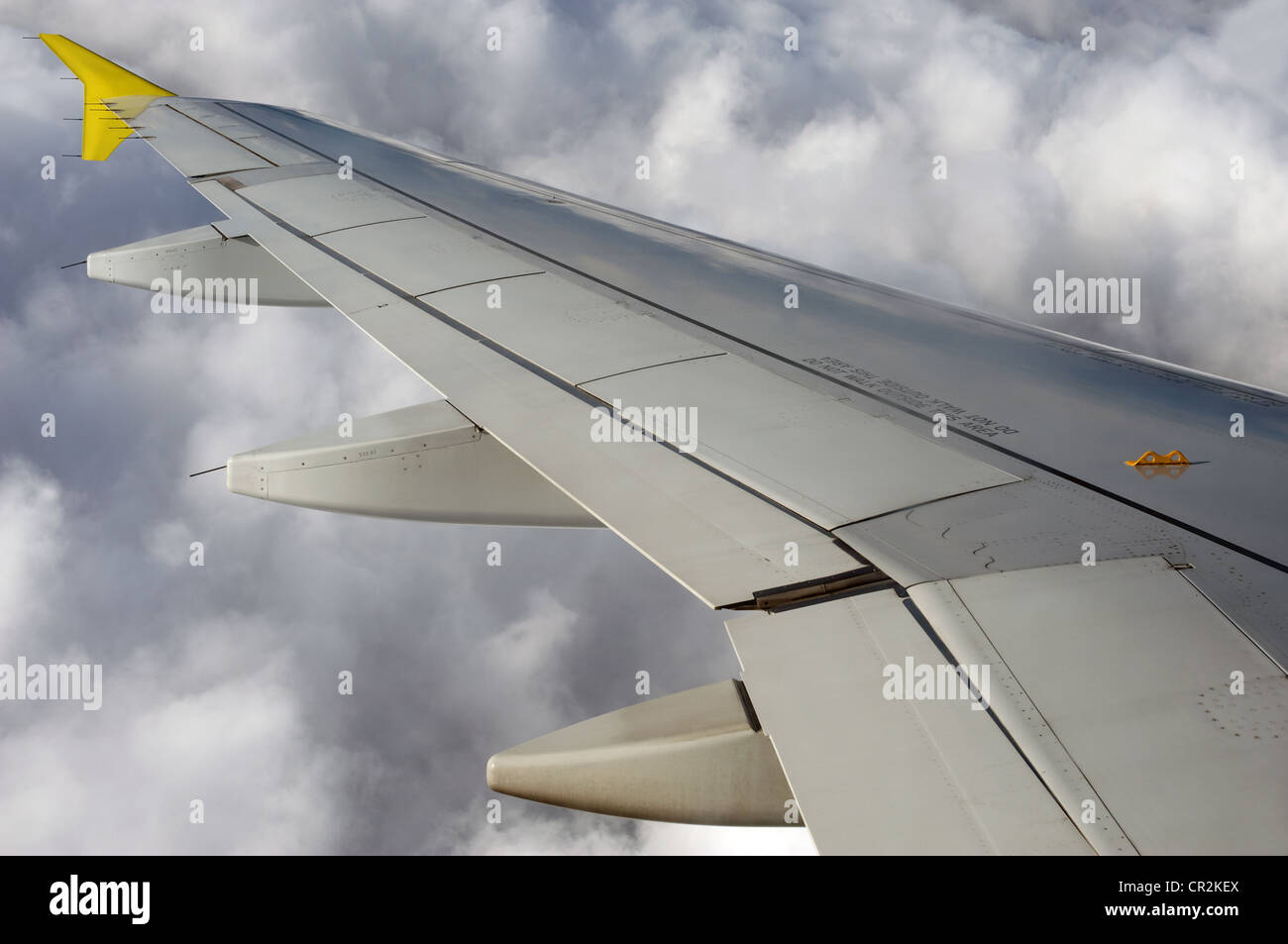 Airbus A319 airliners wing Stock Photo - Alamy