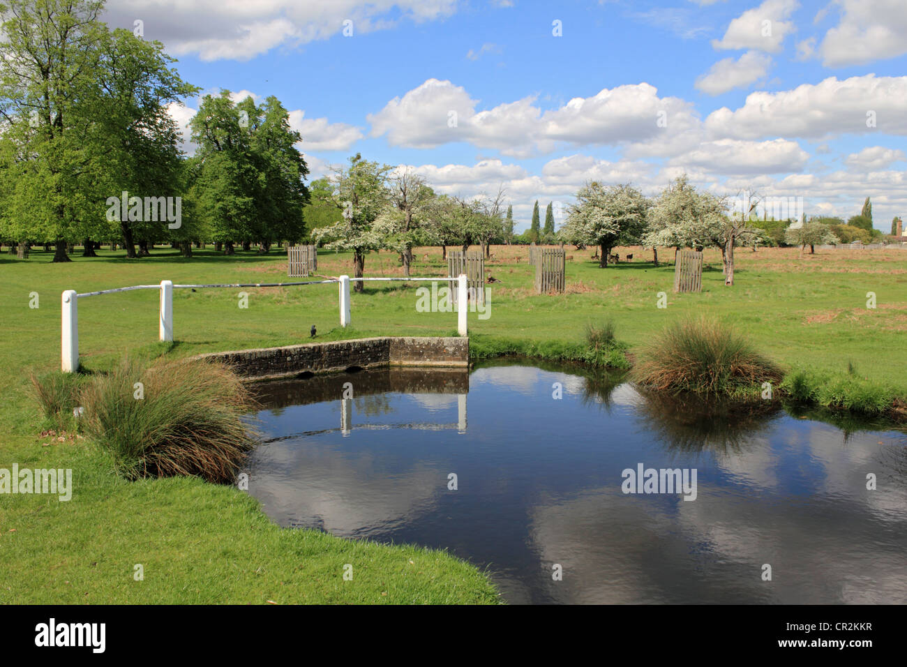 Longford River in Bushy Park, the Royal park near to Hampton Court SW ...
