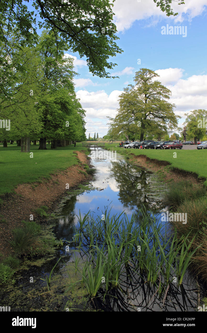The Longford River in Bushy Park, the Royal park near to Hampton Court ...