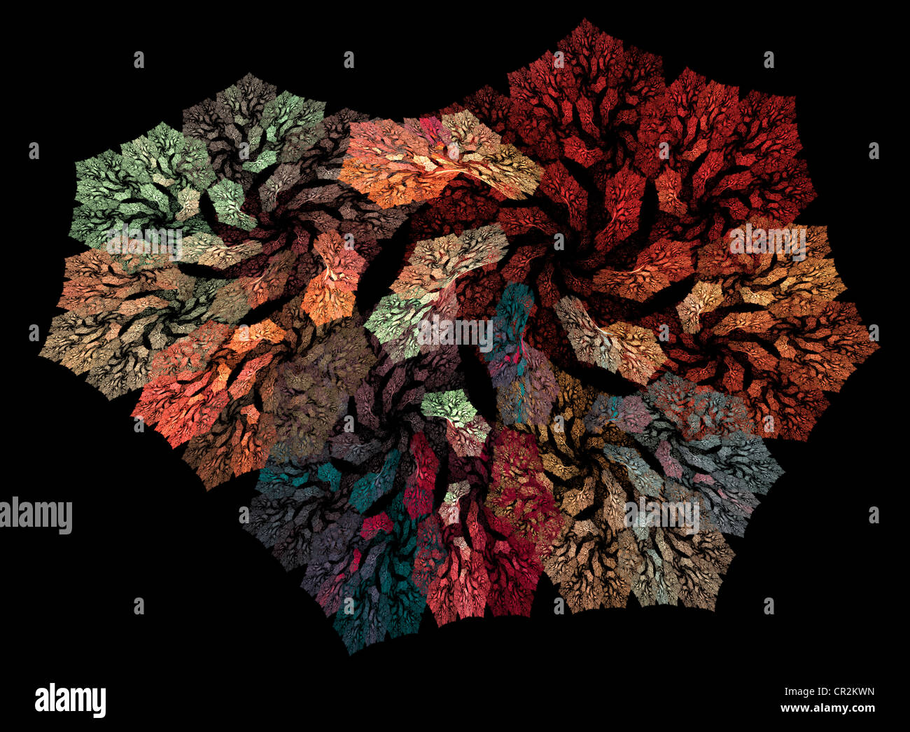 Reef pattern hi-res stock photography and images - Alamy