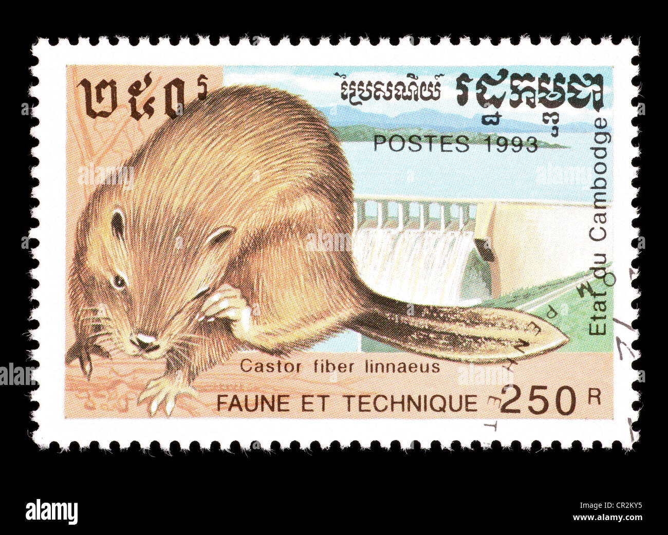 Postage stamp from Cambodia depicting the Eurasian beaver (Castor fiber ...