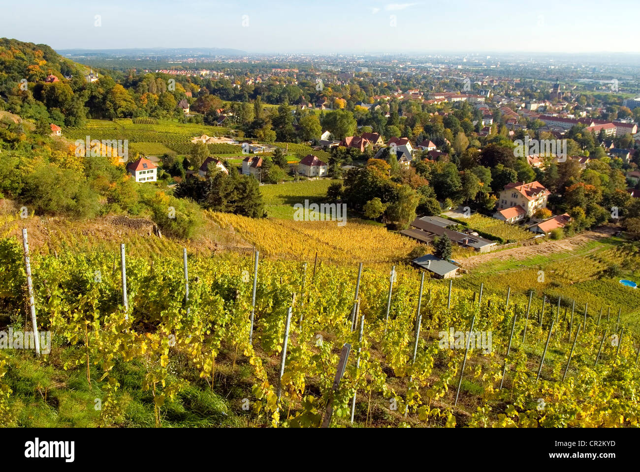 Radebeul High Resolution Stock Photography and Images - Alamy