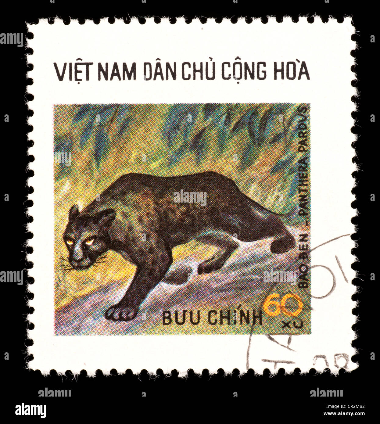 Postage stamp from Vietnam depicting a black leopard (Panthera pardus ...