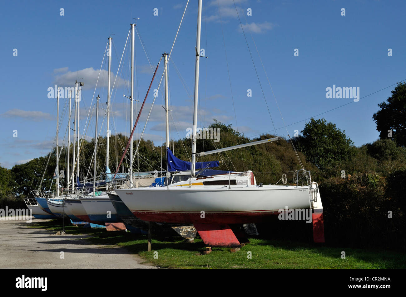 Near wareham hi-res stock photography and images - Alamy
