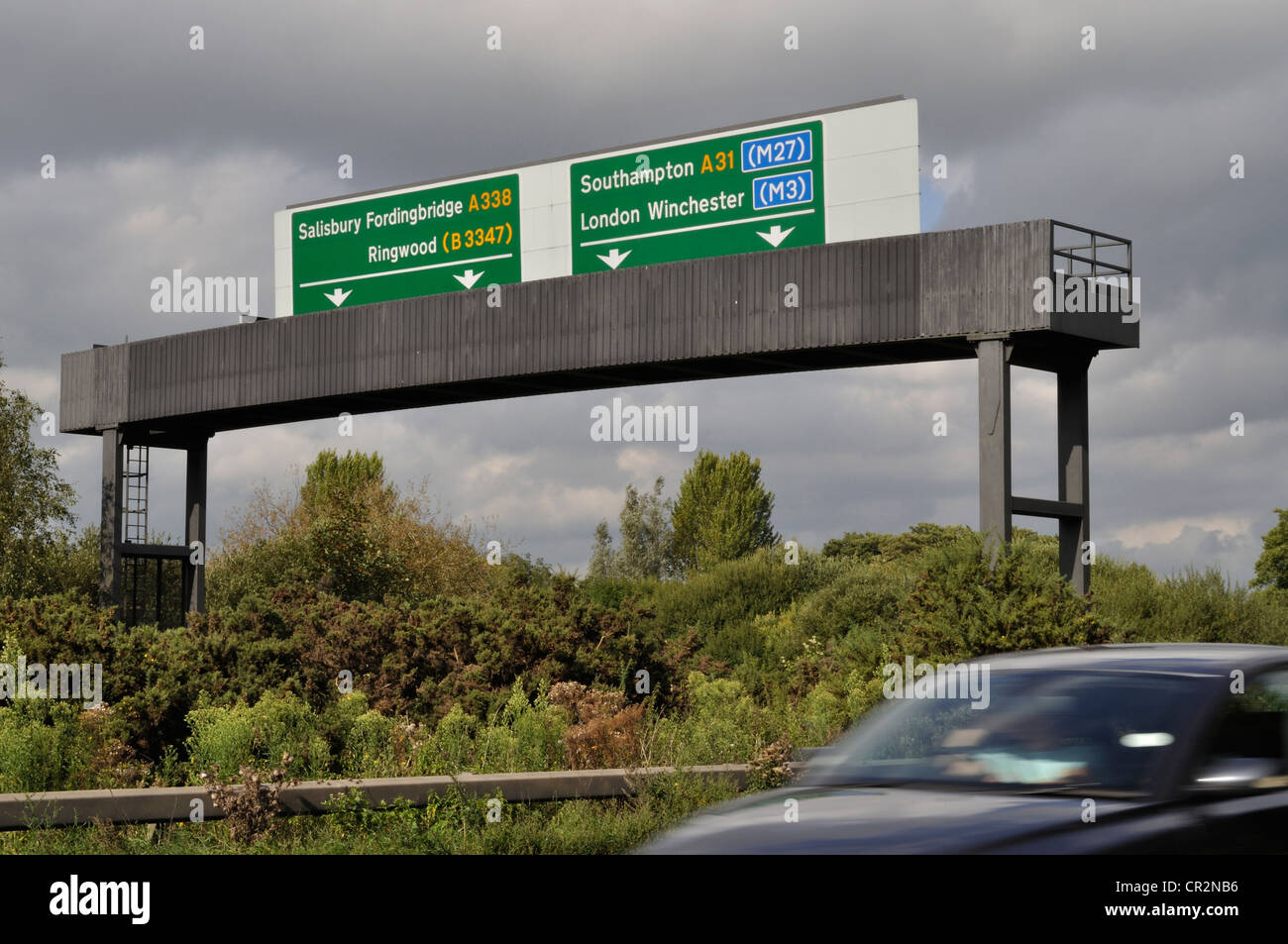 Ringwood forest hi-res stock photography and images - Alamy