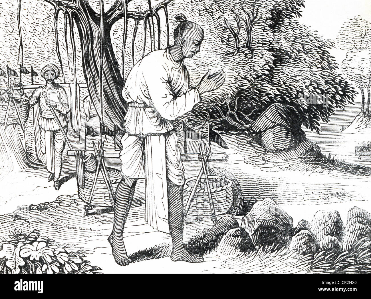 This illustration is from "India and Its Inhabitants" by Caleb Wright ...