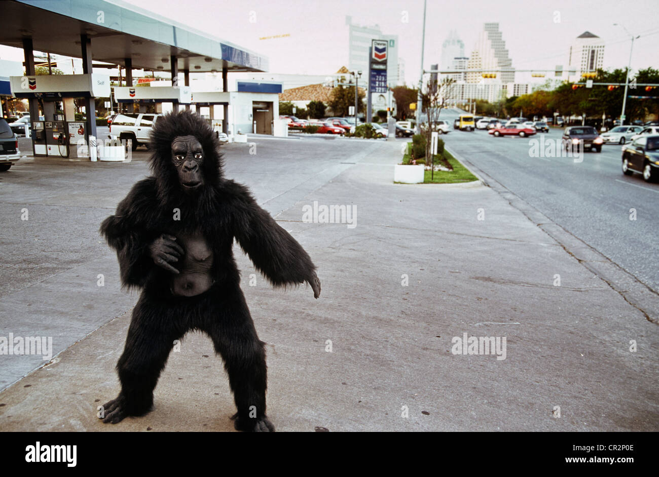 Monkey suit hi-res stock photography and images - Alamy