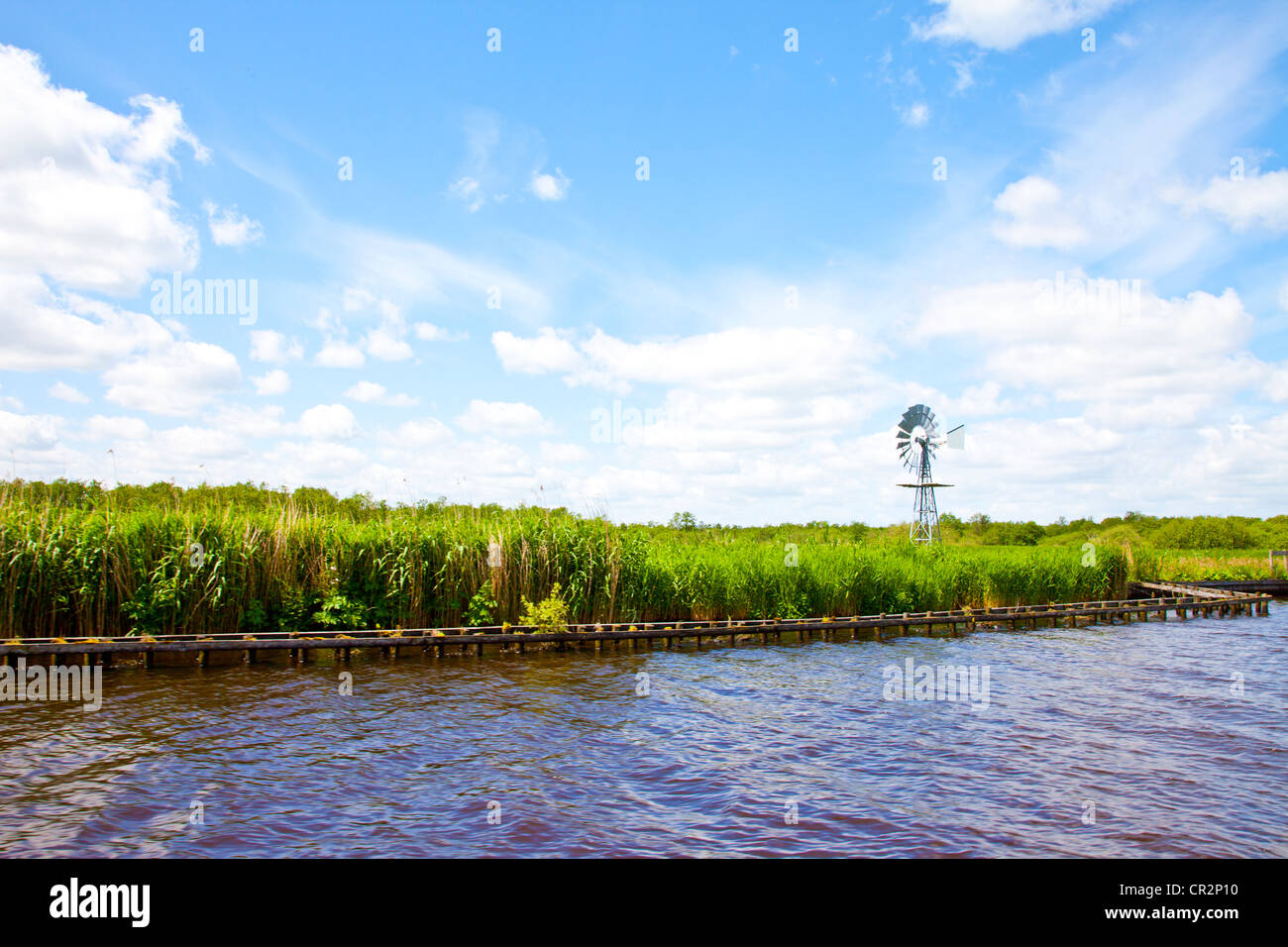 Beautiful Dutch landscape with high grass and little mill Stock Photo ...